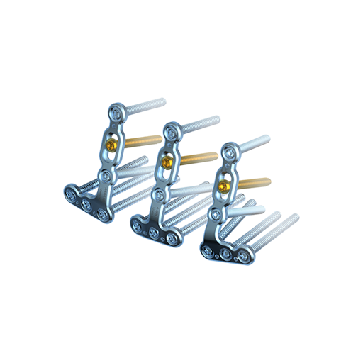 TRILOCK DISTAL TIBIA PLATES 3.5, T AND L – Promedionics